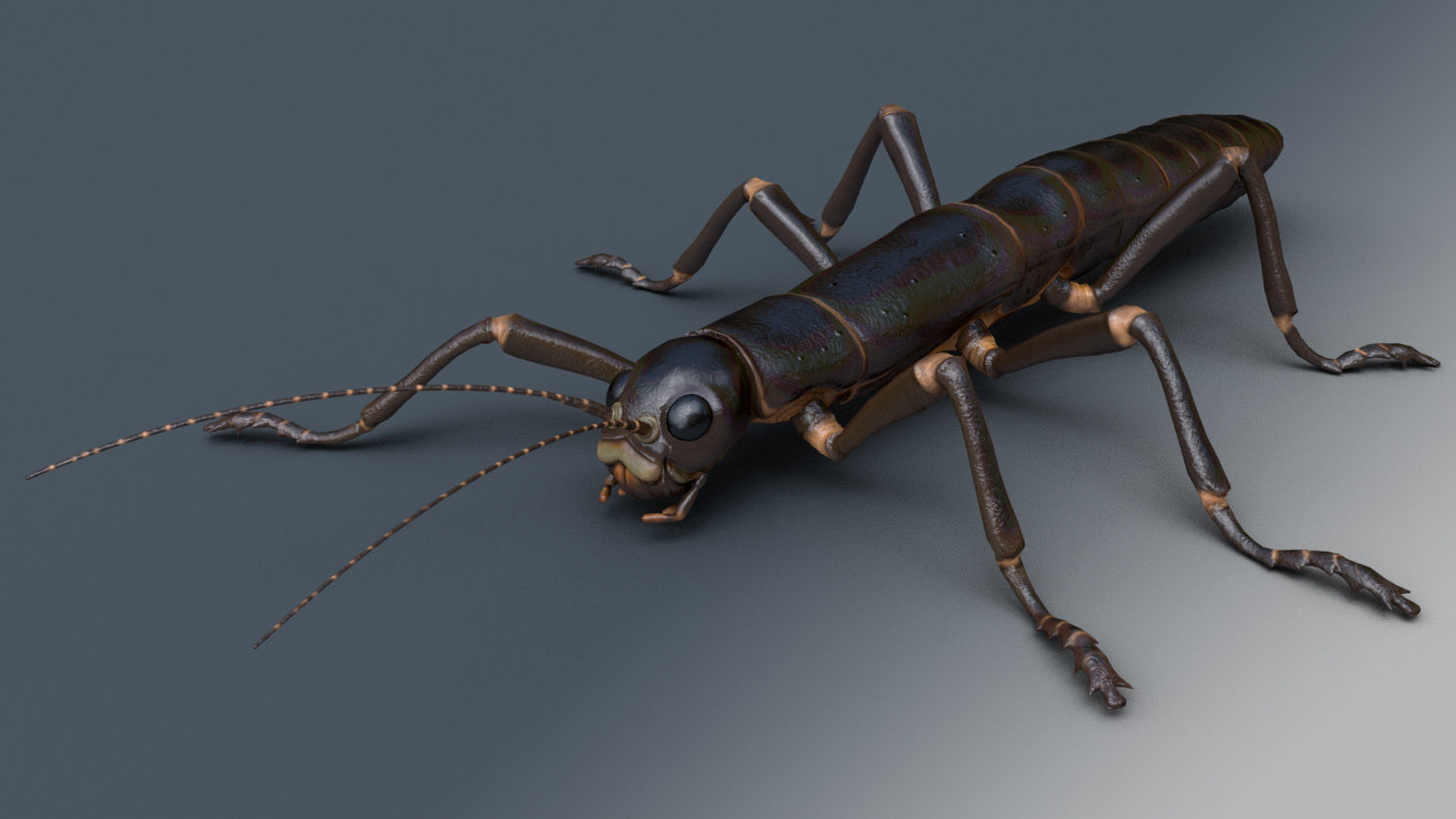 3D model Stick insect rigged VR / AR / low-poly rigged | CGTrader