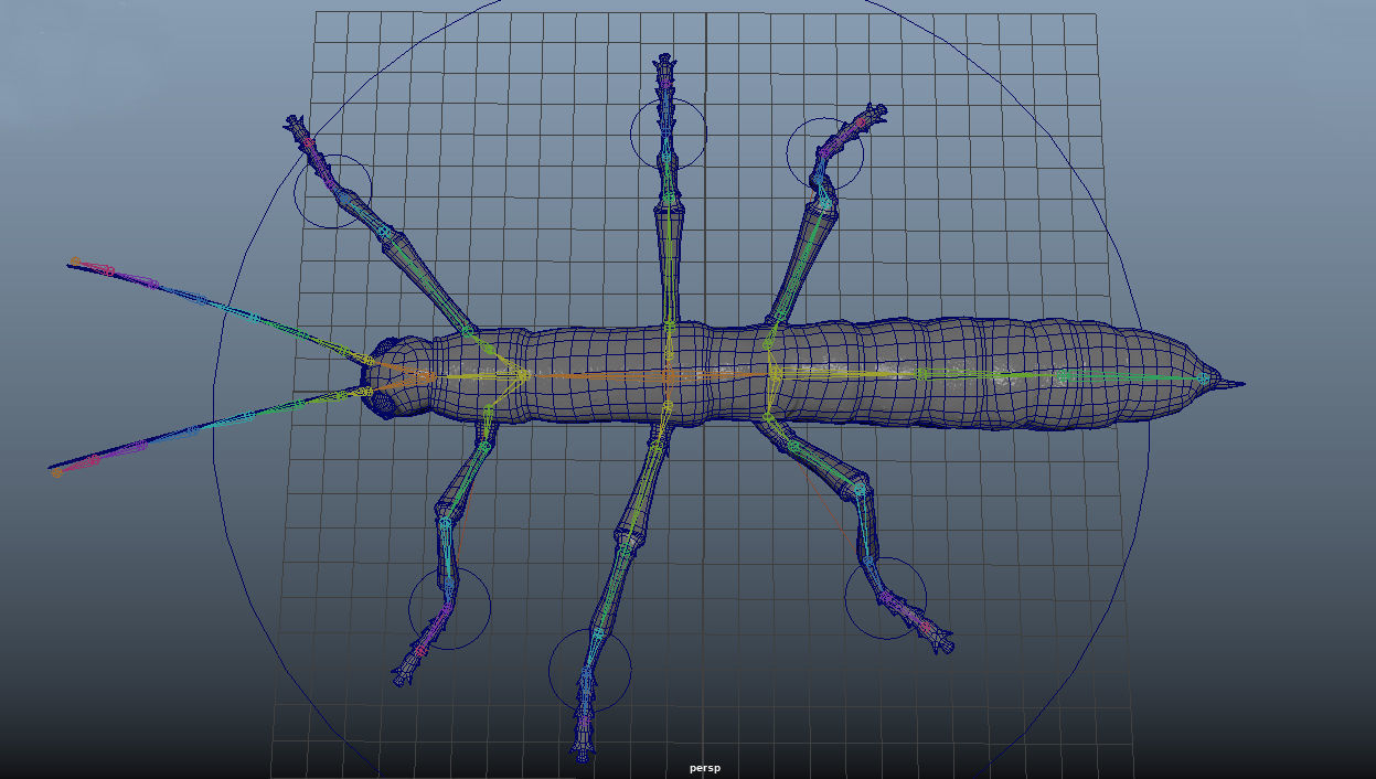 3D model Stick insect rigged VR / AR / low-poly rigged | CGTrader
