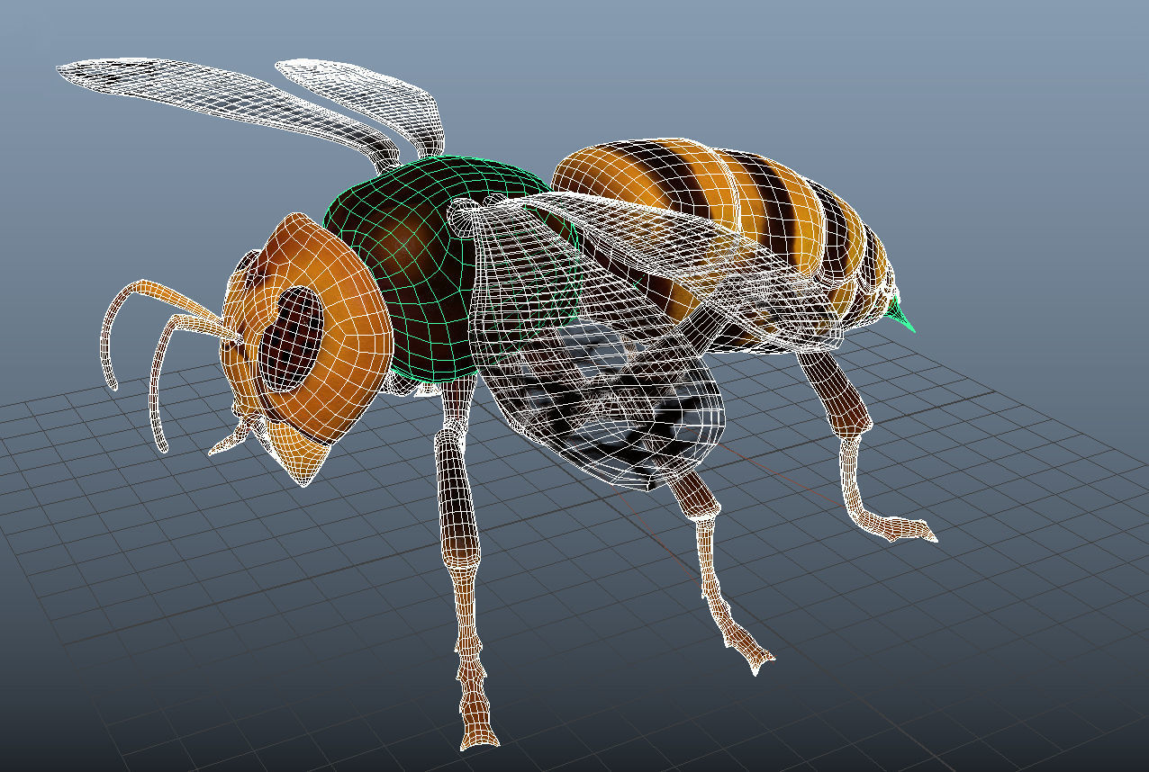 3D model Hornet wasp VR / AR / low-poly rigged | CGTrader
