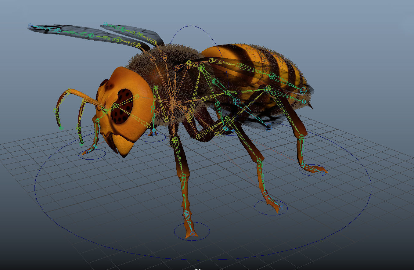3D model Hornet wasp VR / AR / low-poly rigged | CGTrader