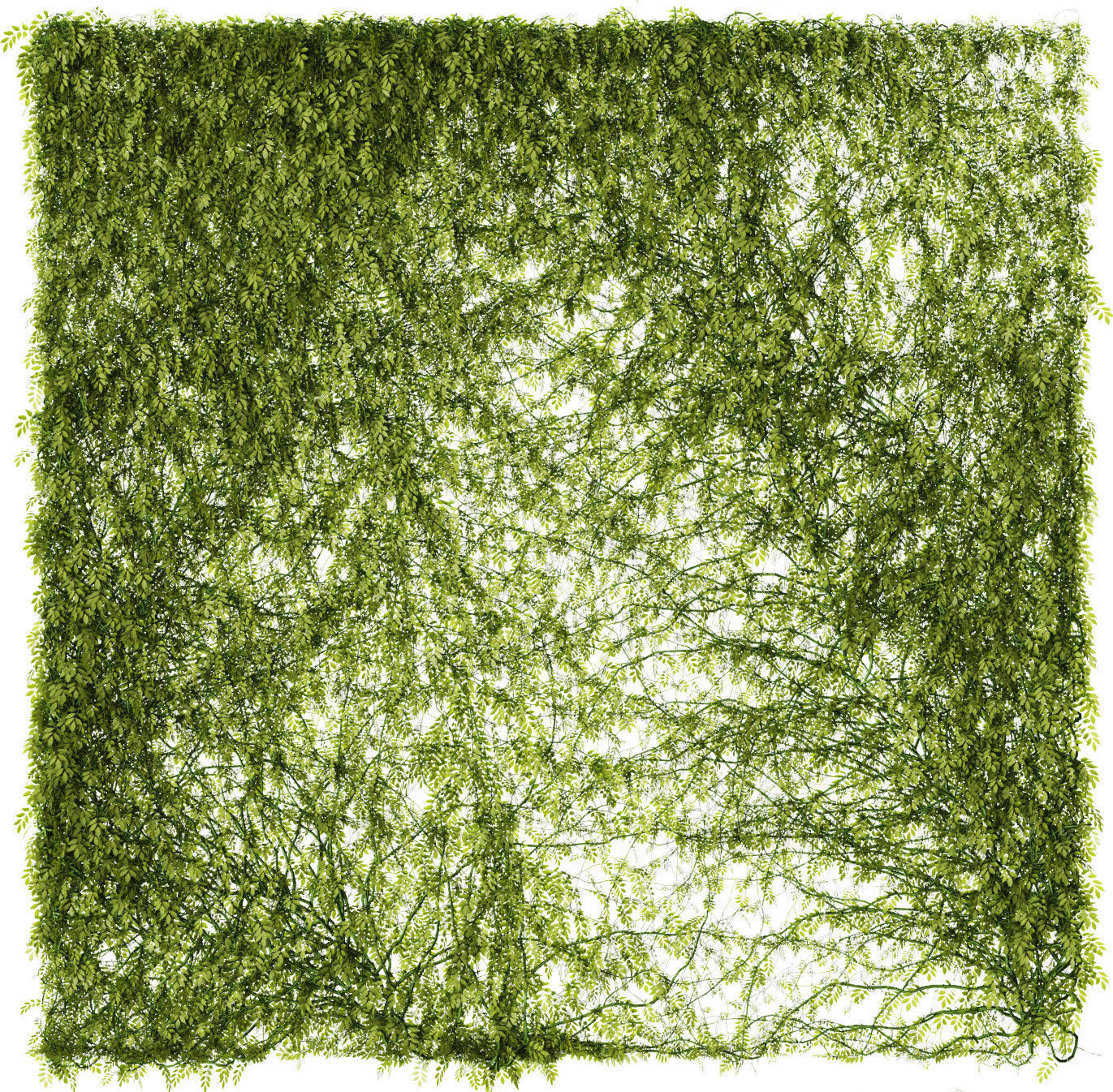 Set of 4 models of leaves for walls or fences 3D model | CGTrader