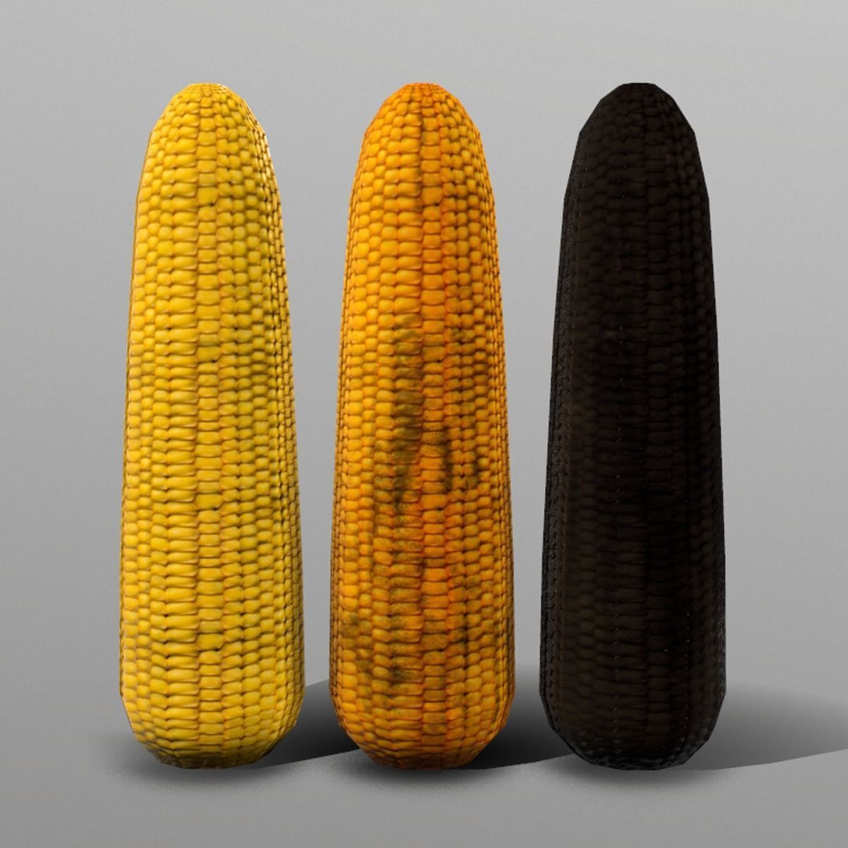 3D model Corn Cob VR / AR / low-poly | CGTrader