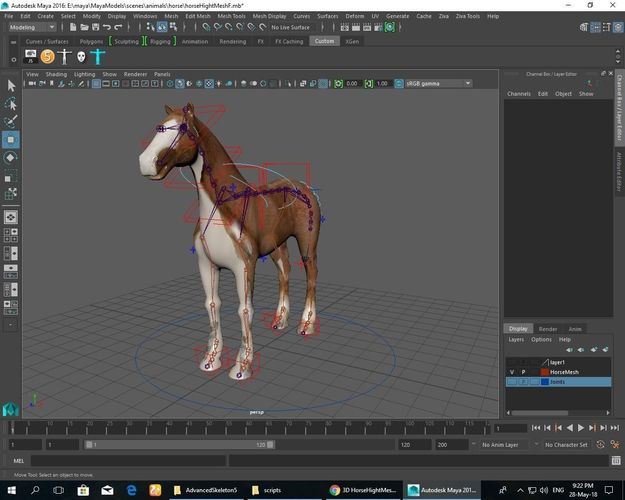 3D model HorseHightMesh iris of human eye VR / AR / low-poly | CGTrader