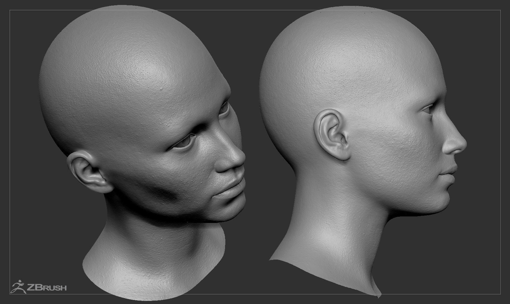 3D model Average Caucasian Female Head VR / AR / low-poly | CGTrader