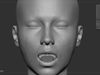 Average Caucasian Female Head Basemesh 3D model | CGTrader