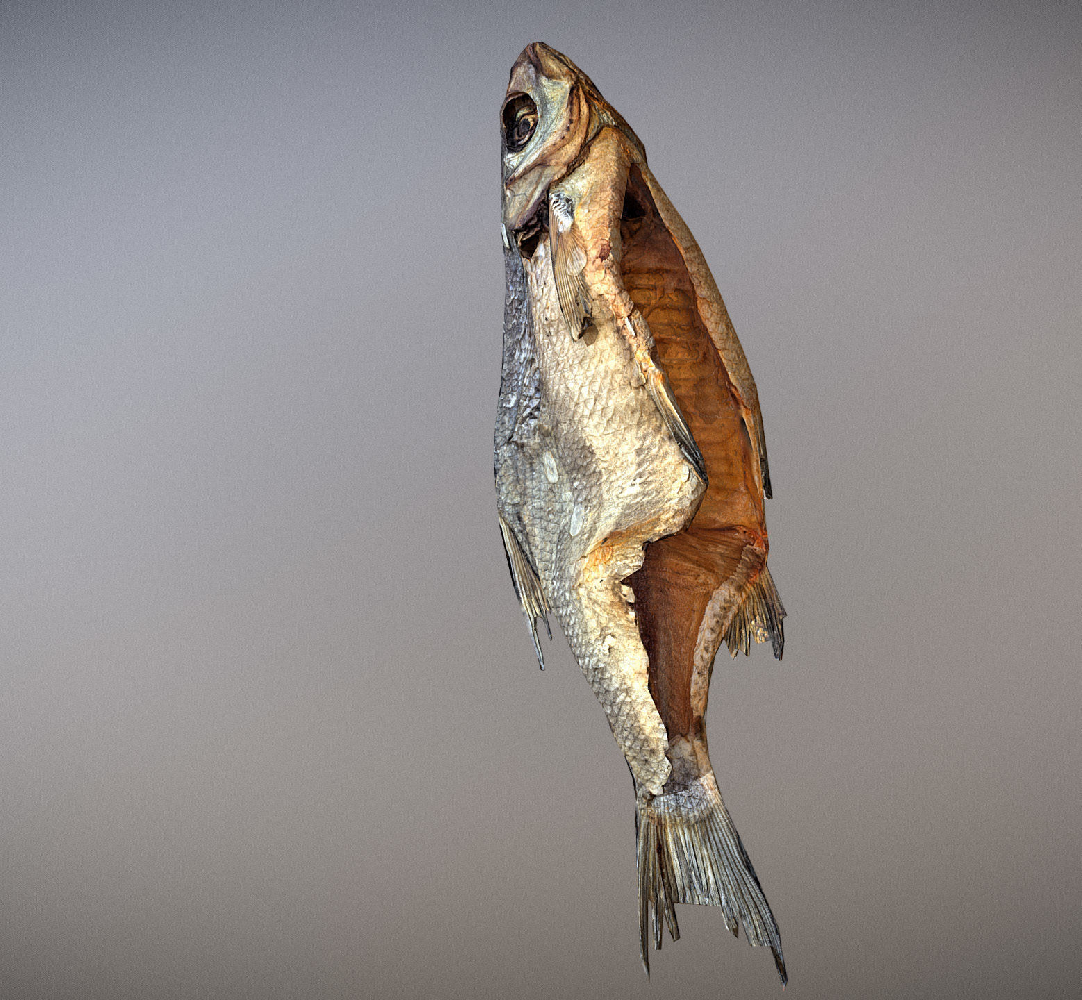 3D model Photorealistic 3Dscan of dried open fish VR / AR / low-poly ...