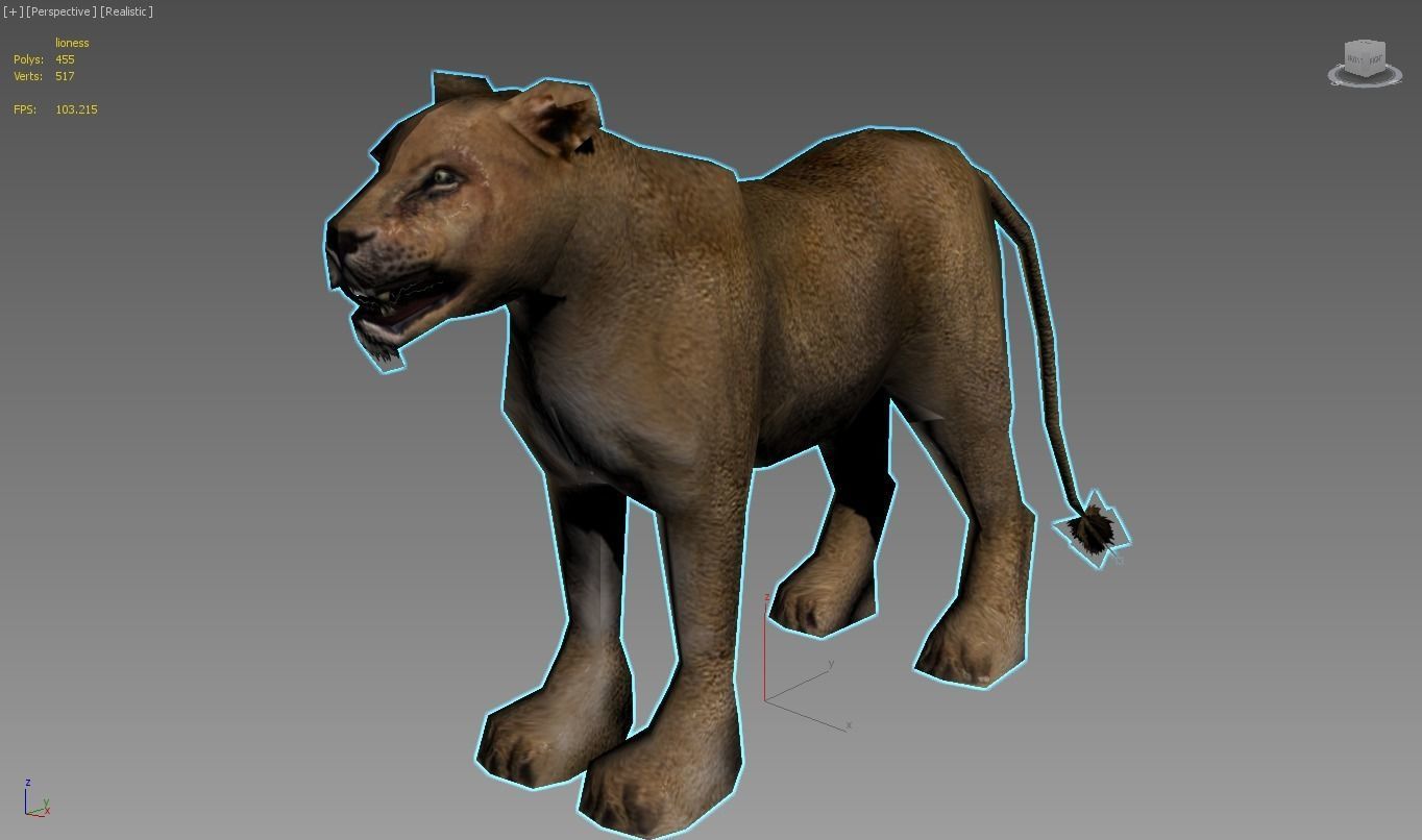 3D model Lioness lion VR / AR / low-poly | CGTrader
