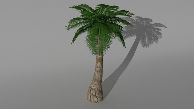 3D model Coconut Tree VR / AR / low-poly | CGTrader