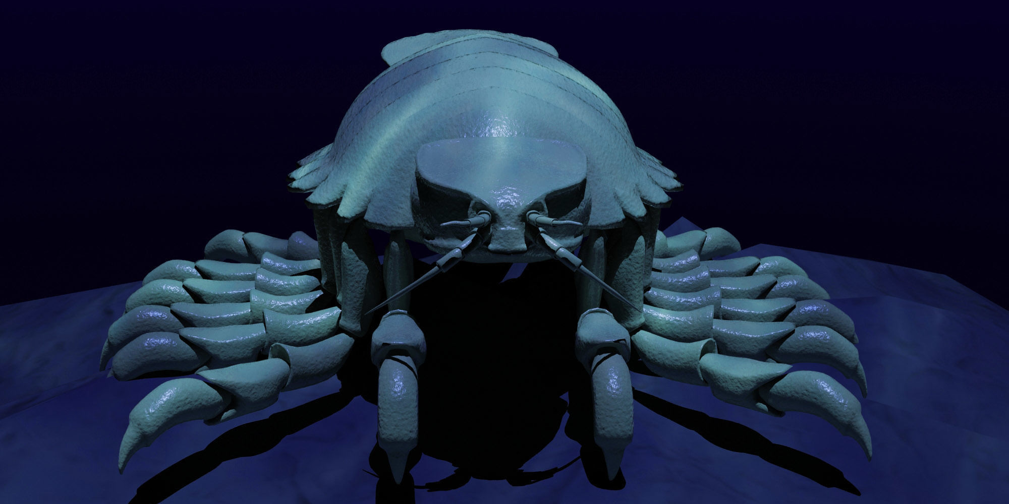 3D model Giant Isopod VR / AR / low-poly | CGTrader