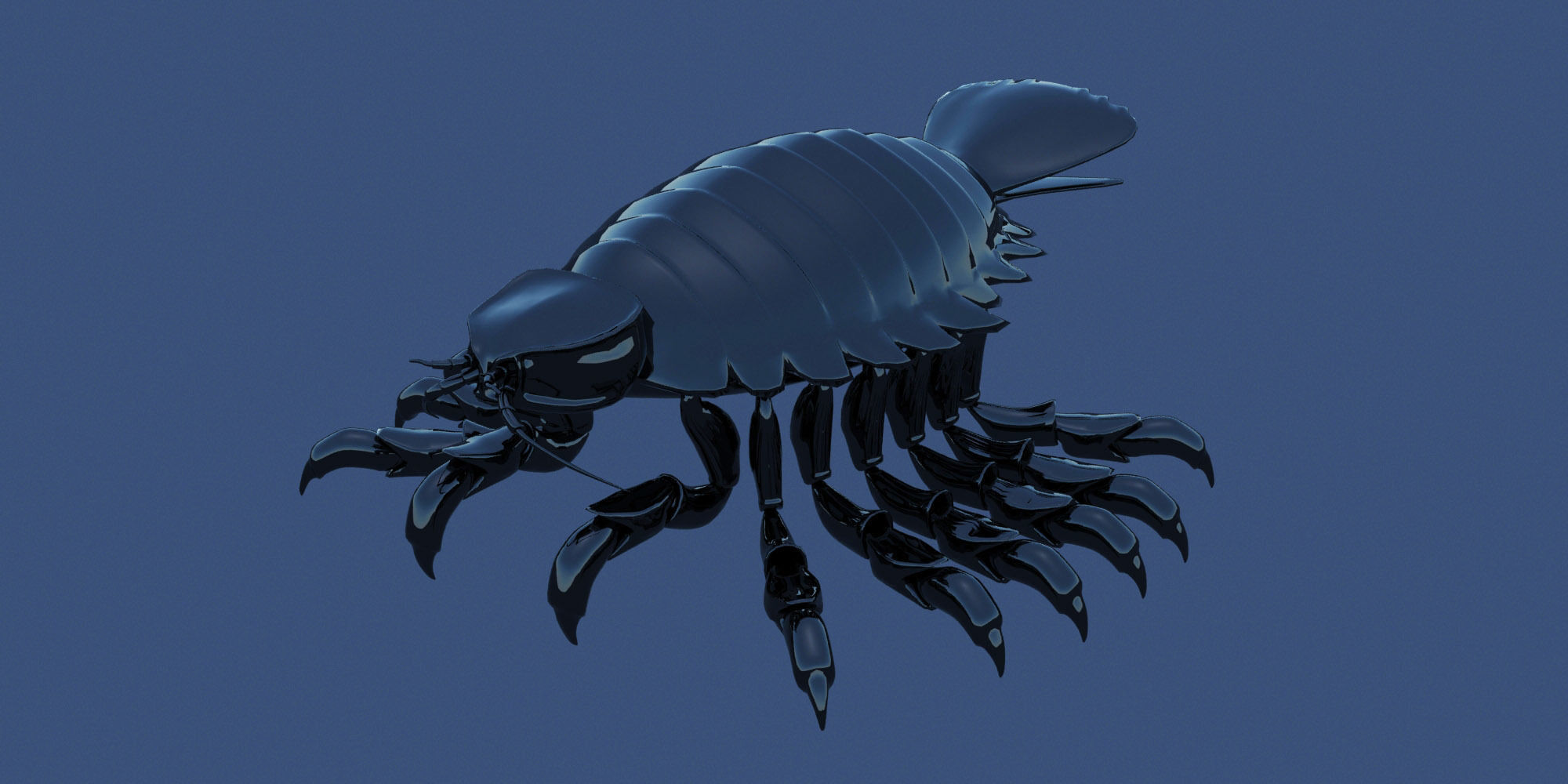 3D model Giant Isopod VR / AR / low-poly | CGTrader