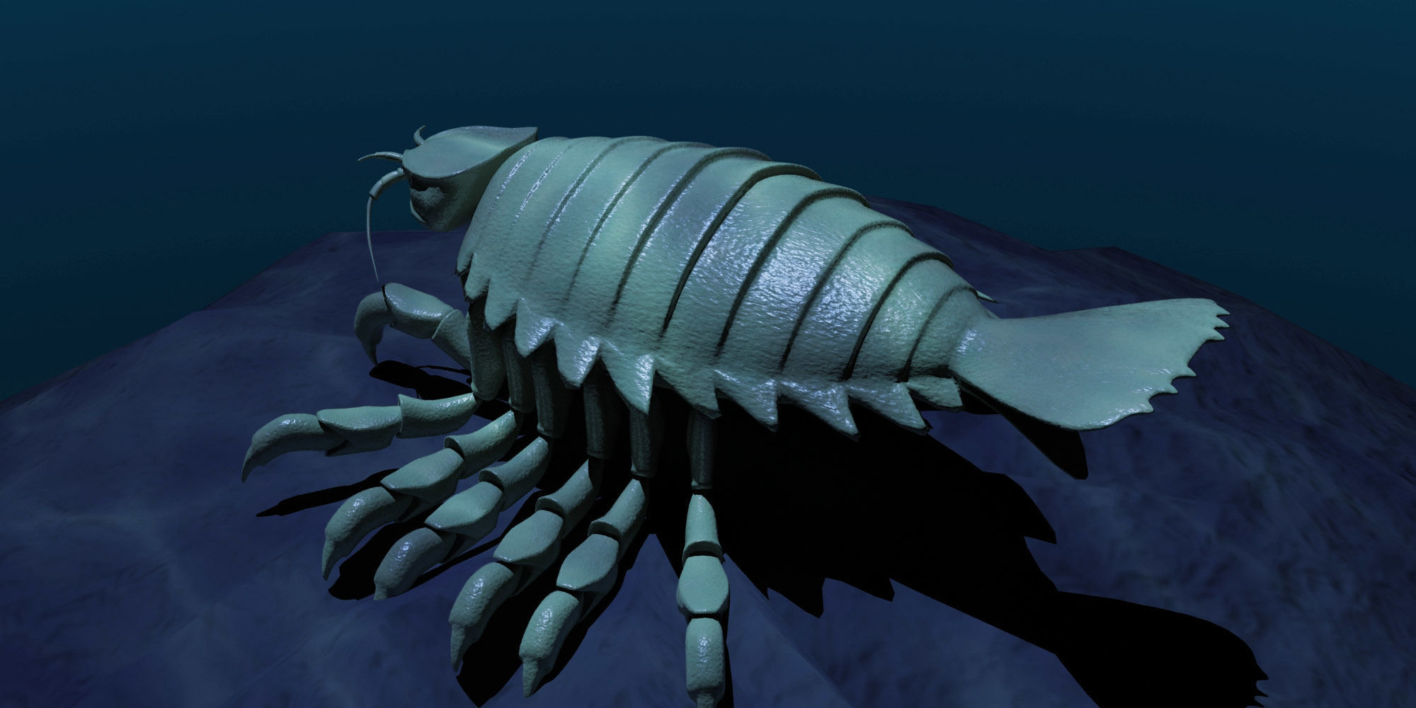 3D model Giant Isopod VR / AR / low-poly | CGTrader