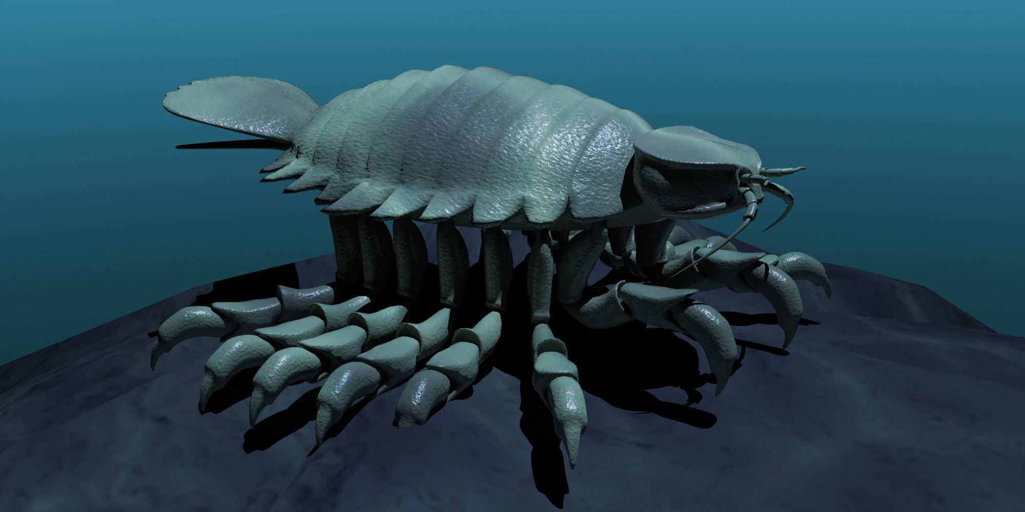 3D model Giant Isopod VR / AR / low-poly | CGTrader
