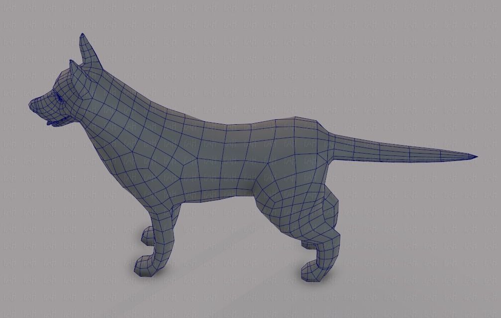 3D model Dog base for game VR / AR / low-poly | CGTrader