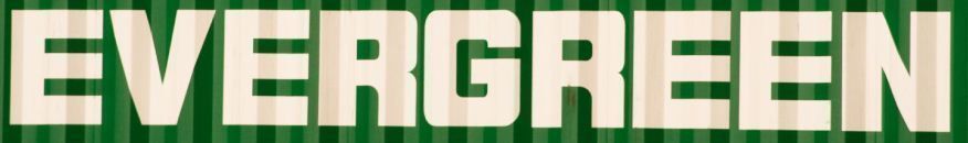 40 ft EVERGREEN Shipping Container Enclosure wo Refrigerant free 3D ...