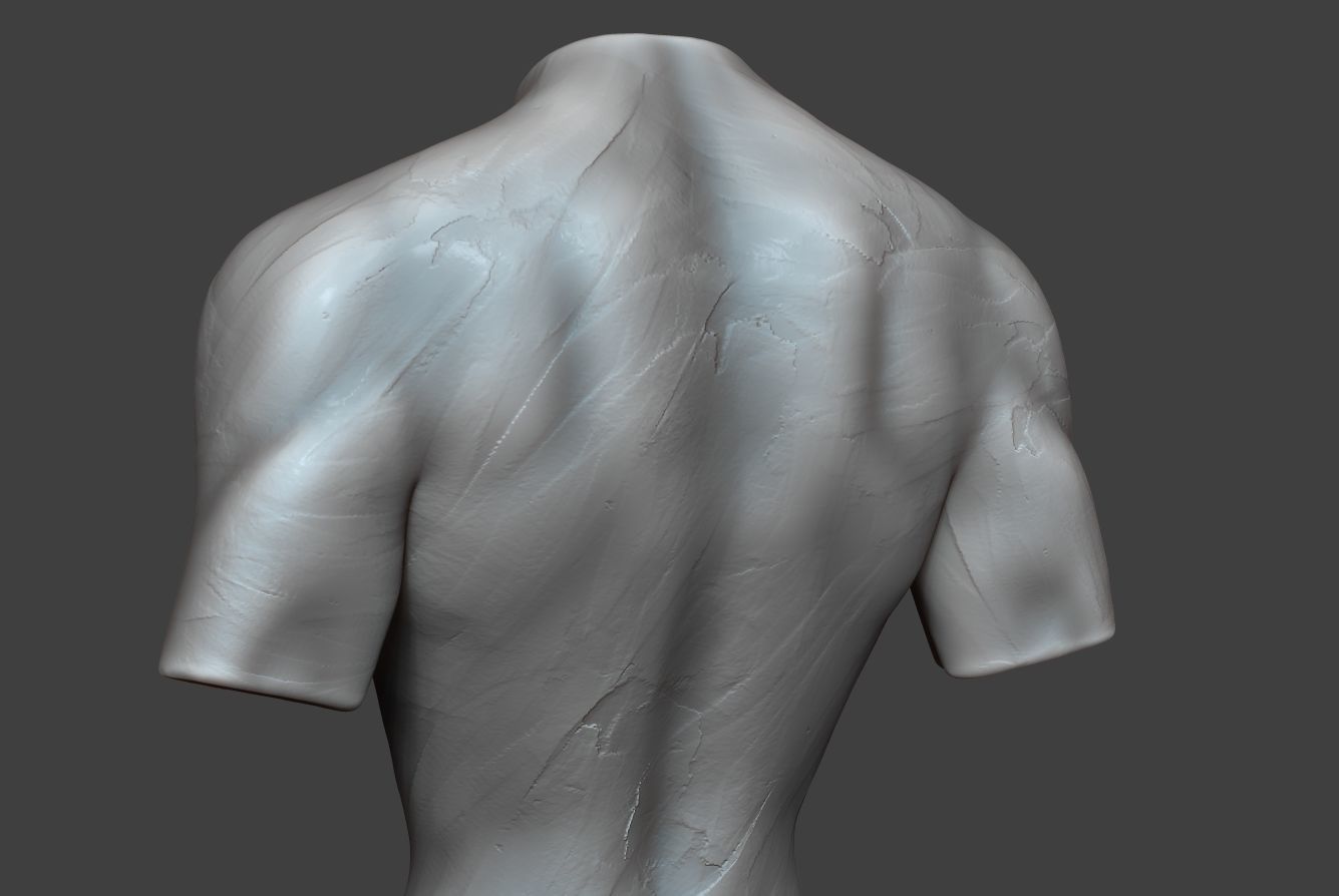 3D model Male Torso VR / AR / low-poly | CGTrader