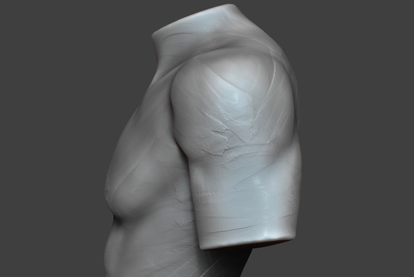 3D model Male Torso VR / AR / low-poly | CGTrader