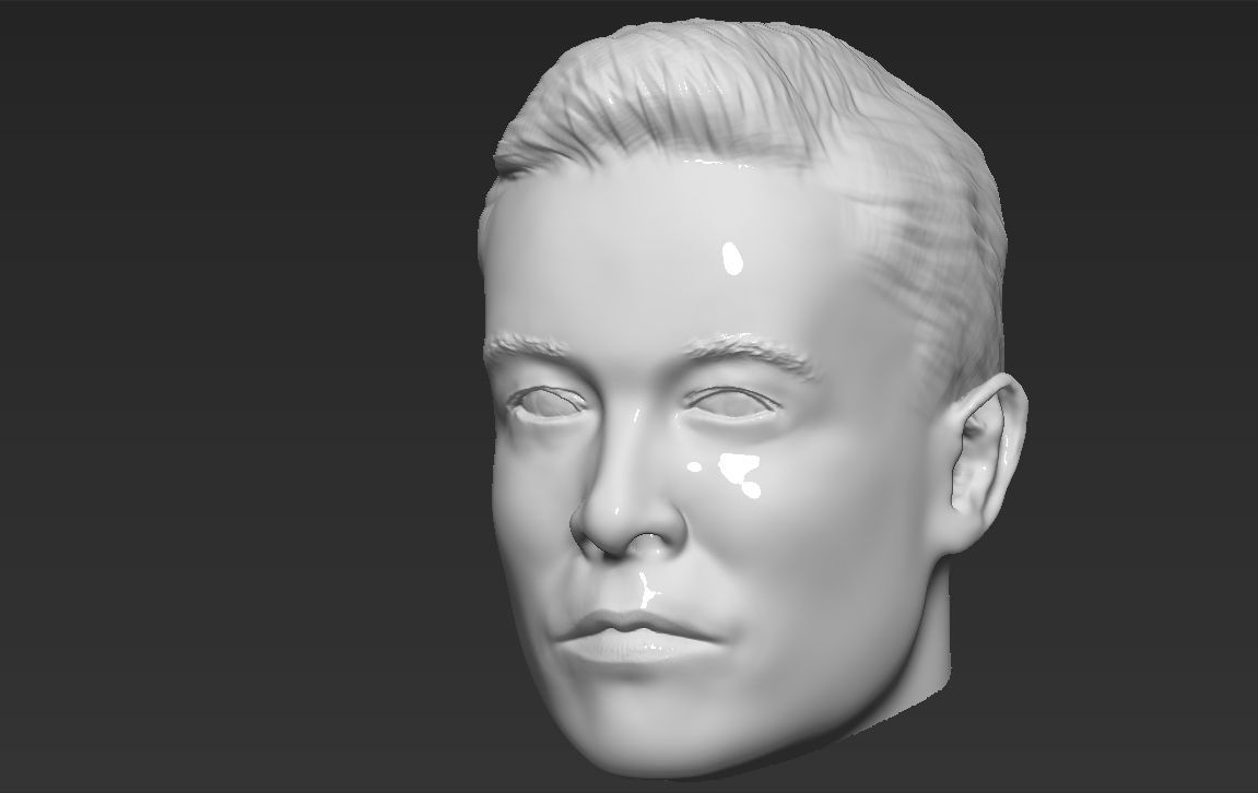 Elon Musk 3D model | CGTrader