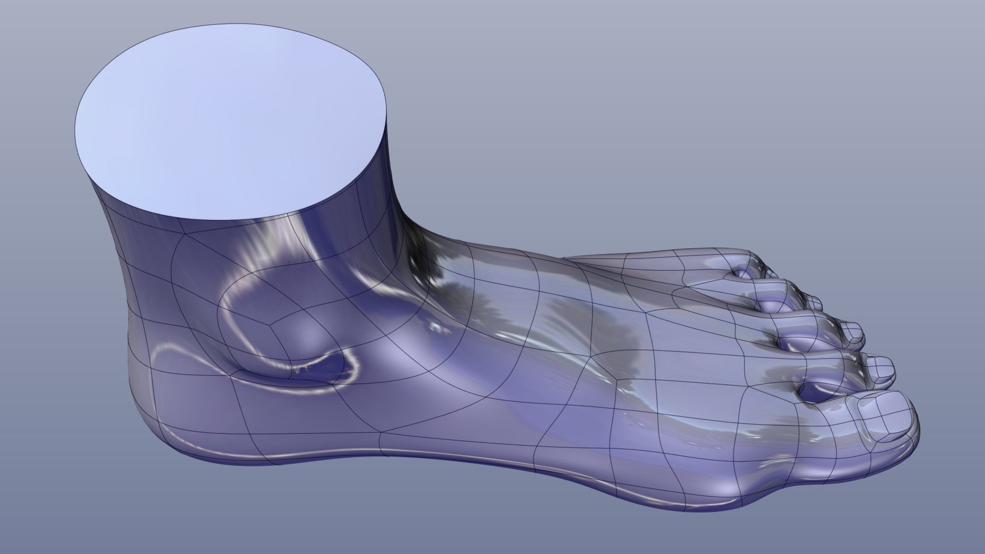 CAD compatible Woman Foot Model F1P1D0V1feet 3D model | CGTrader