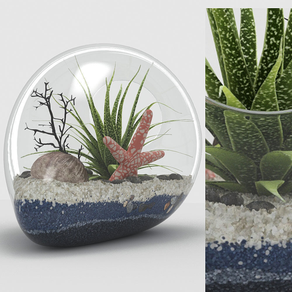 Sea style terrarium 3D model | CGTrader