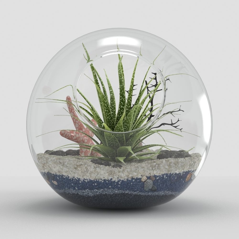 Sea style terrarium 3D model | CGTrader