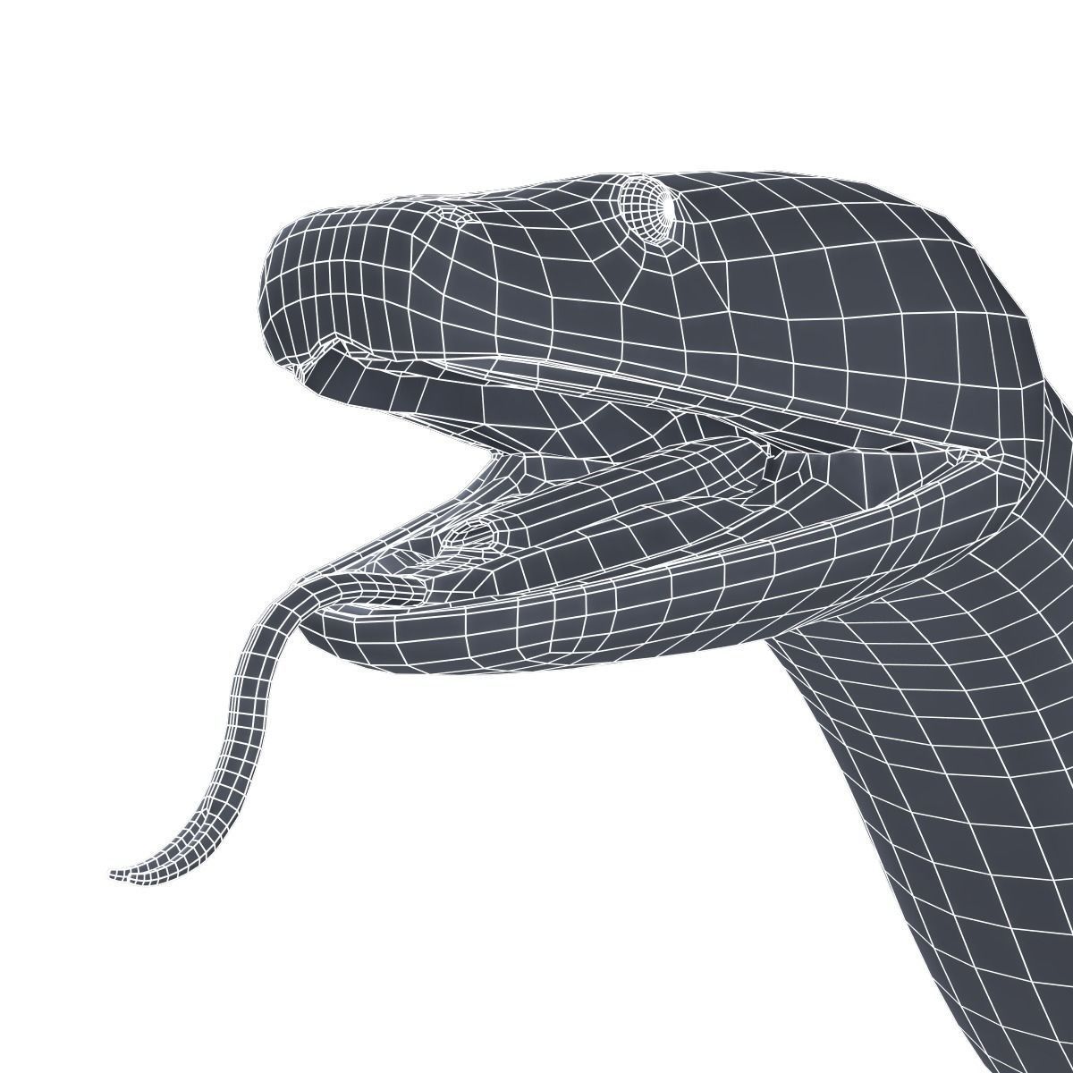 3D model Pythons Vol 1 Rigged VR / AR / low-poly rigged | CGTrader