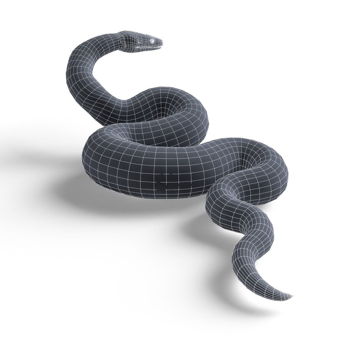 3D model Pythons Vol 1 Rigged VR / AR / low-poly rigged | CGTrader