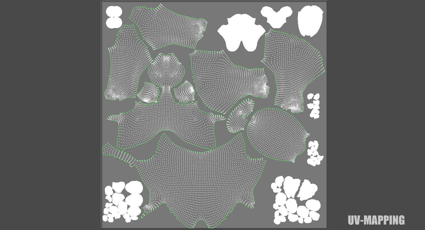 Siberian Husky high polygon 3D model with polypaint 3D model | CGTrader