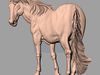 14pcs horse 3D relief models STL Files used for CNC Router E608 3D model | CGTrader