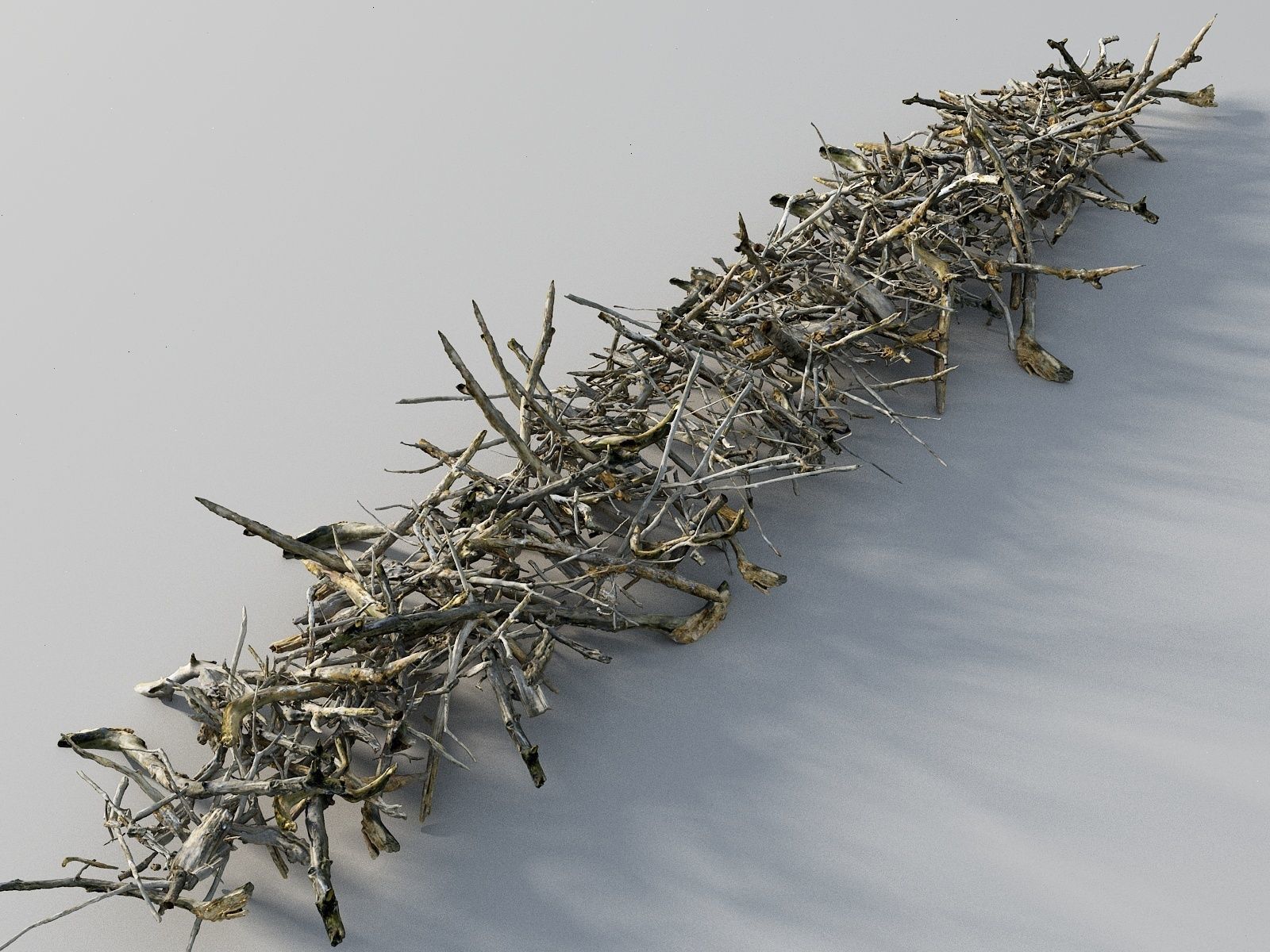 3D model Wood Branch Pack VR / AR / low-poly | CGTrader