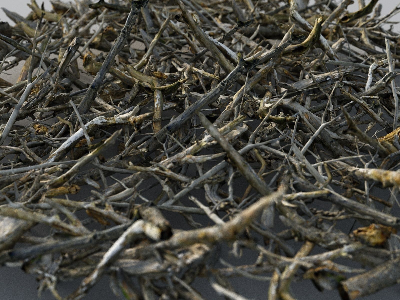 3D model Wood Branch Pack VR / AR / low-poly | CGTrader