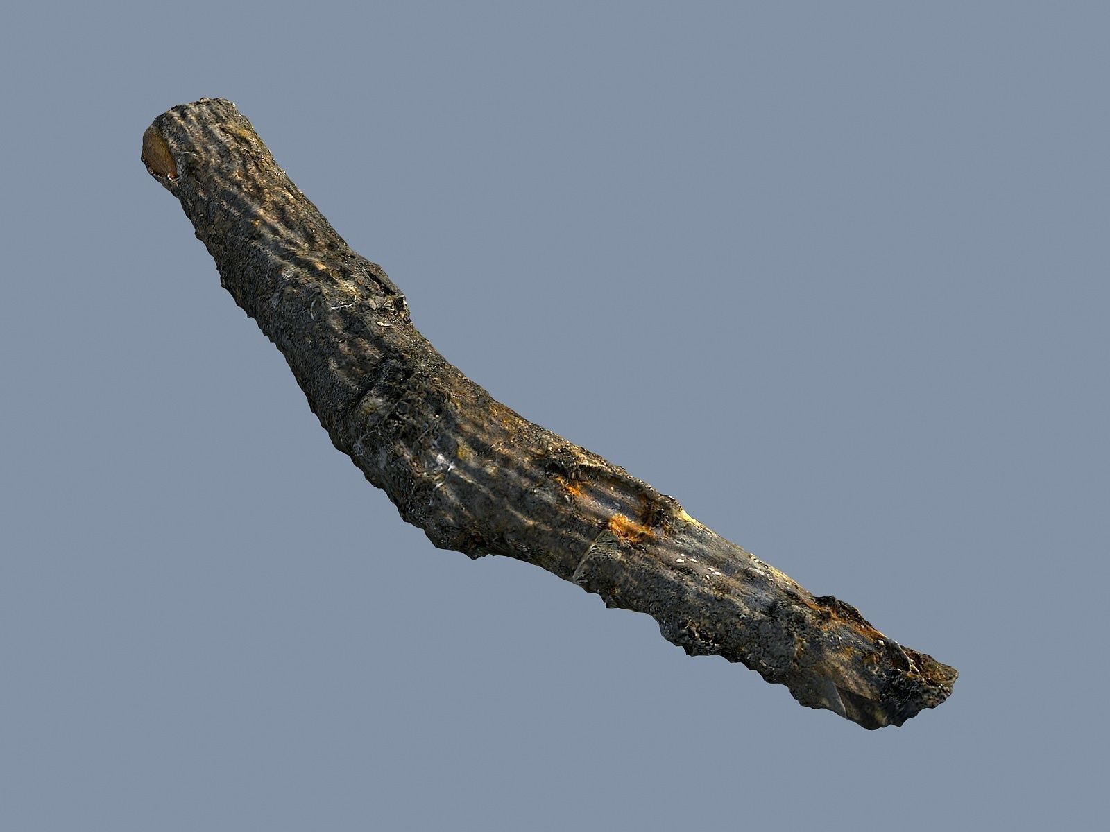 3D model Wood Branch Pack VR / AR / low-poly | CGTrader