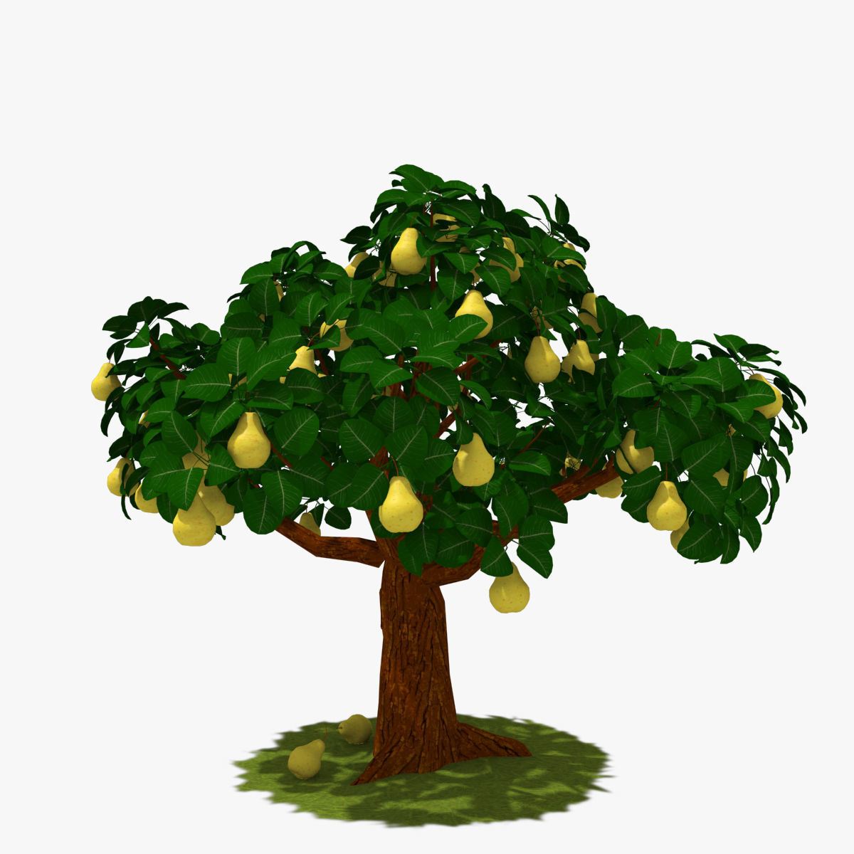Cartoon Pear Tree 3D model | CGTrader