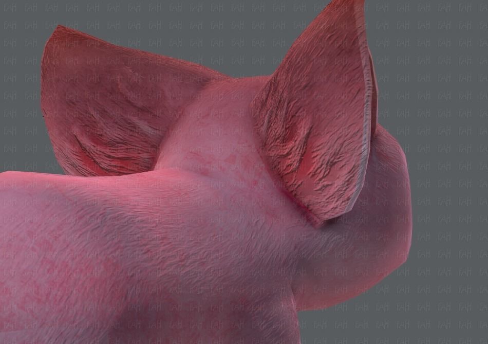 3D model Pig cartoon VR / AR / low-poly | CGTrader