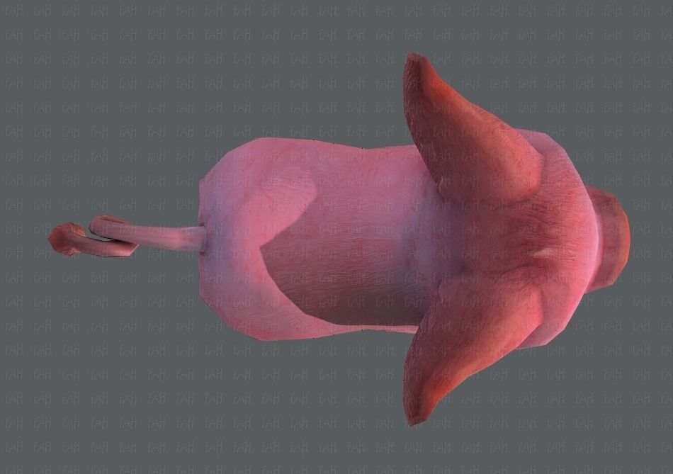 3D model Pig cartoon VR / AR / low-poly | CGTrader