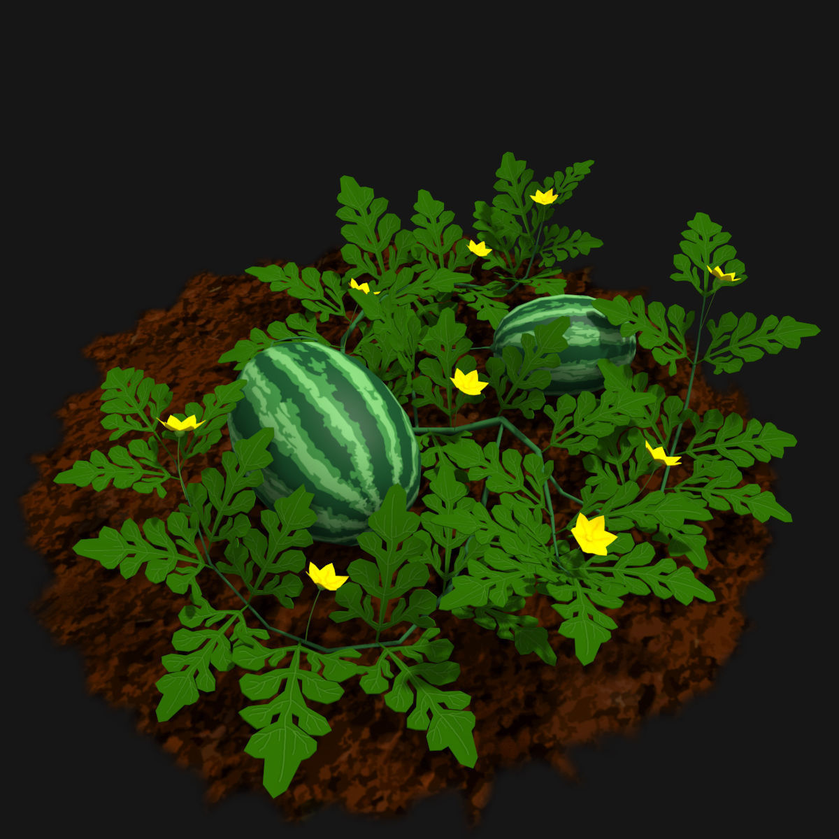 3D model Cartoon Watermelon Plant VR / AR / low-poly | CGTrader