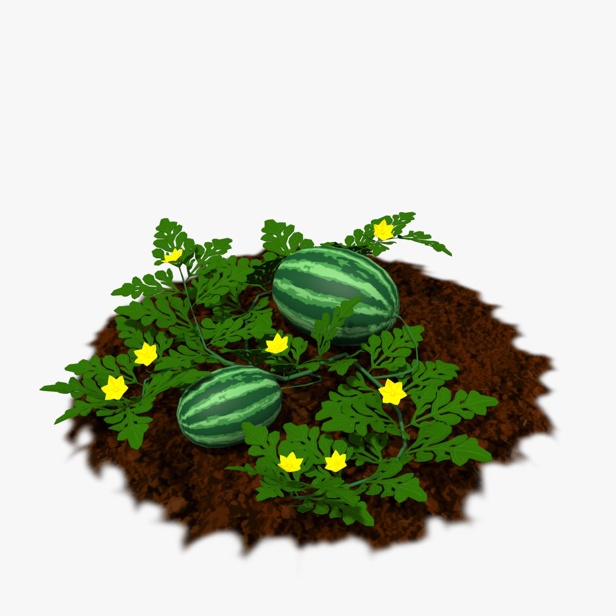 3D model Cartoon Watermelon Plant VR / AR / low-poly | CGTrader