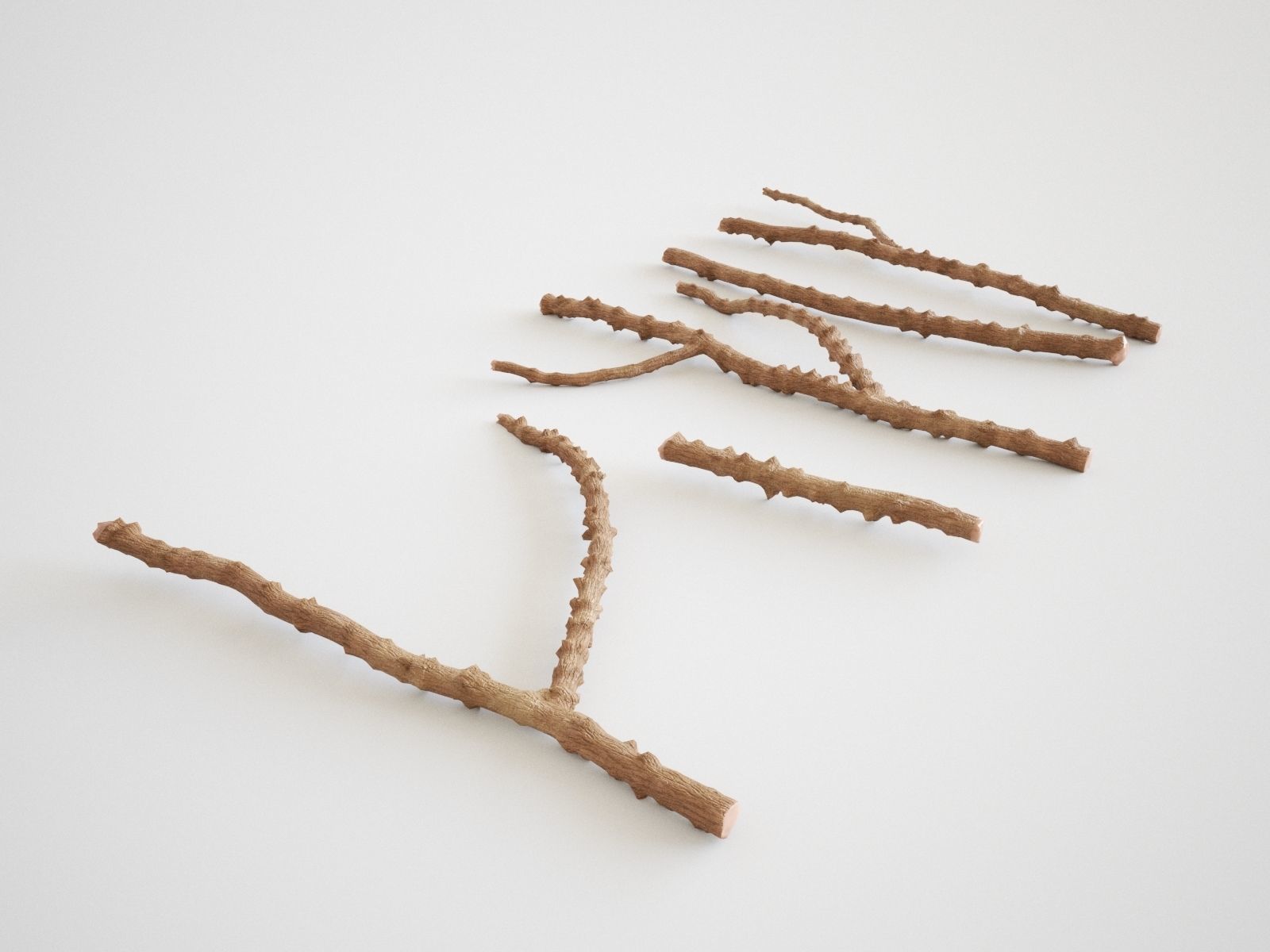 Small Branches 3D model | CGTrader
