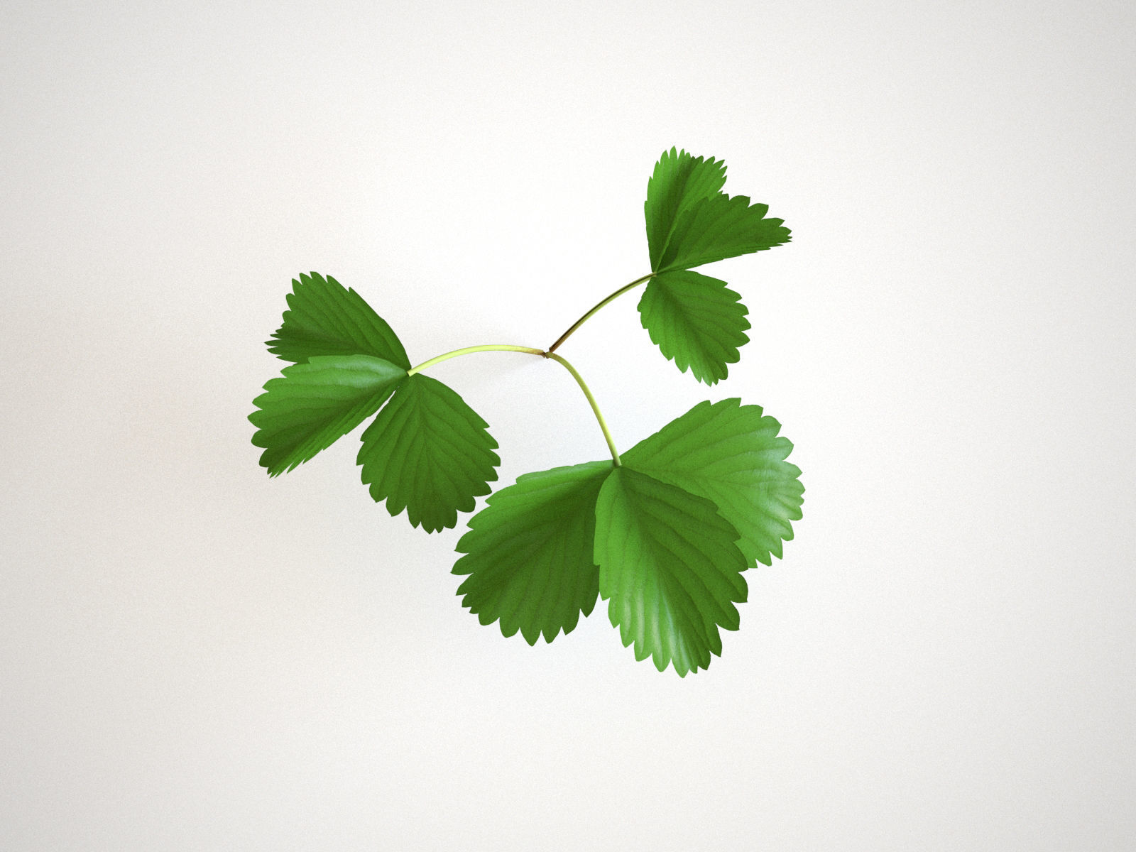 Strawberry Plant Set 3D model | CGTrader