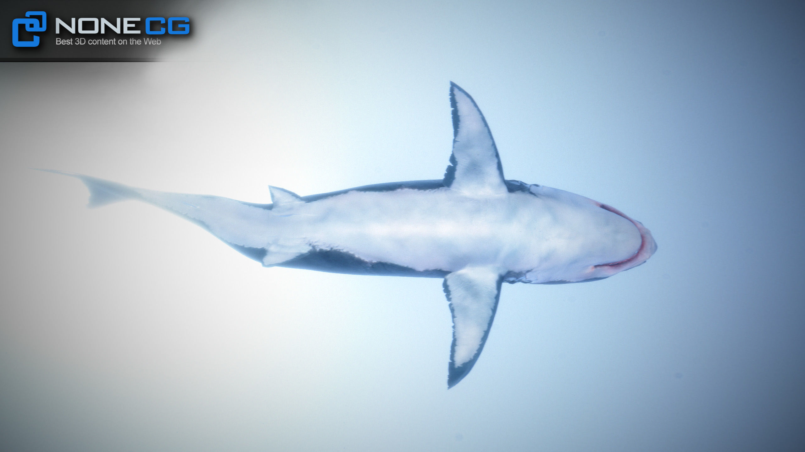 3D model Great White Shark v2 Unity VR / AR / low-poly rigged animated ...