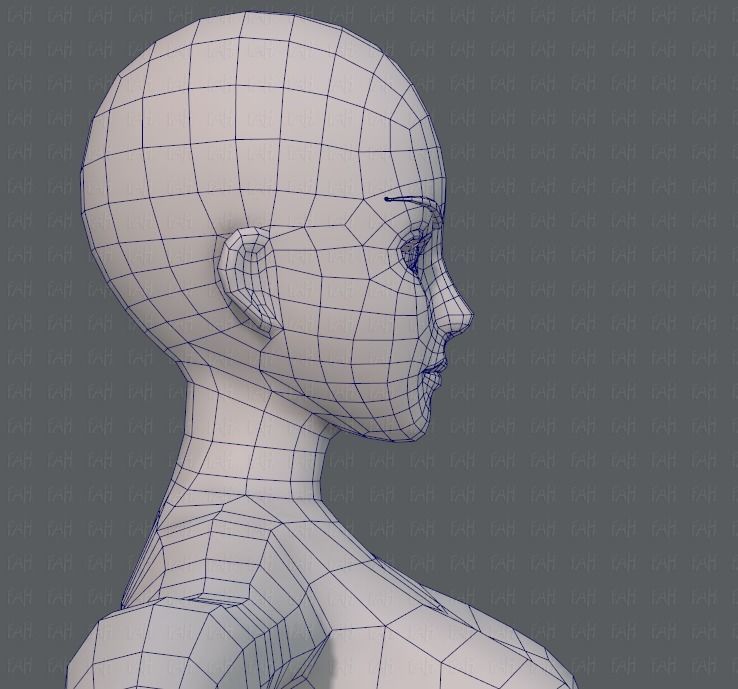 3D model Base mesh woman 07 VR / AR / low-poly | CGTrader