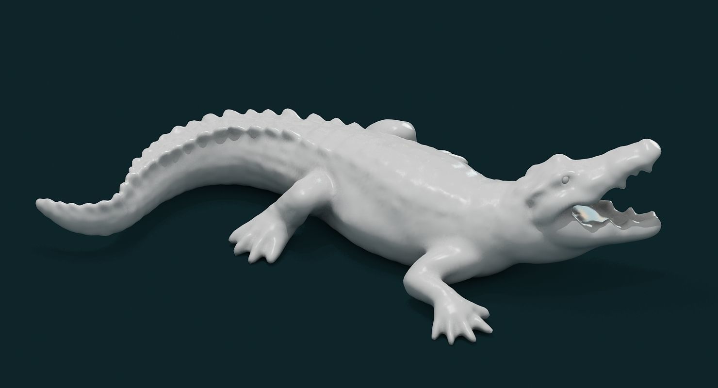 Alligator 3D model | CGTrader