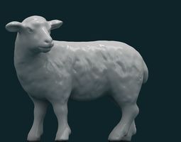 Sheep 3D Models | CGTrader