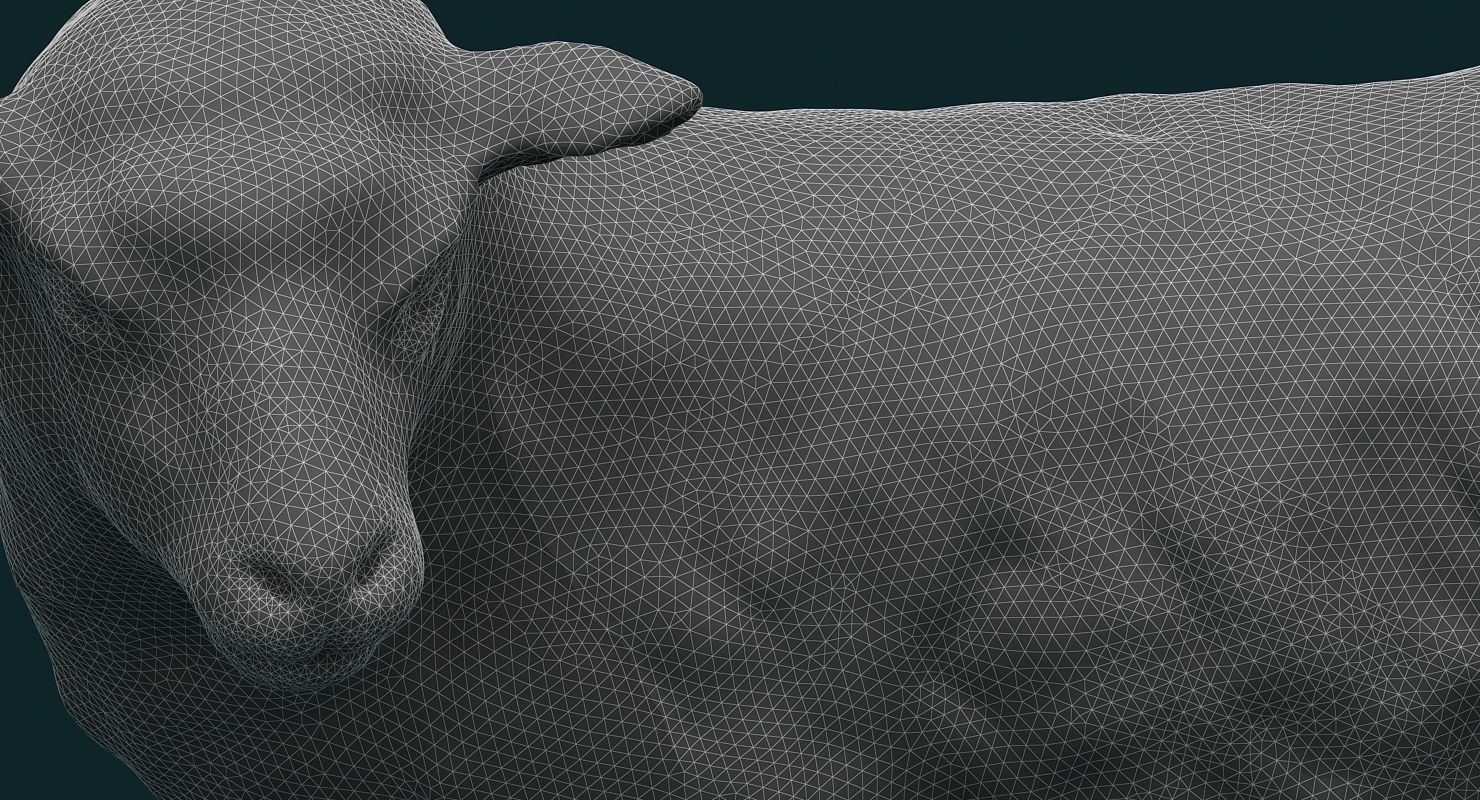Sheep 3D model | CGTrader
