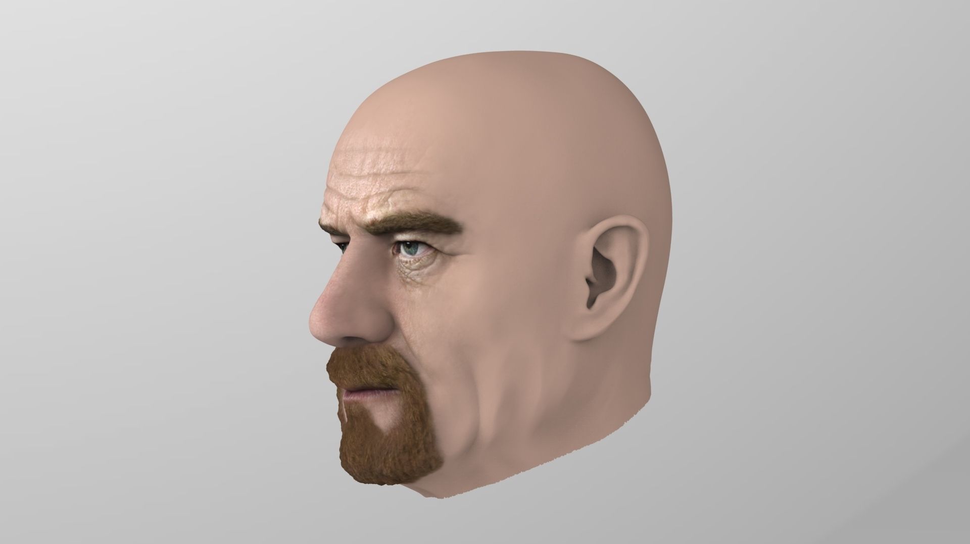 Walter White Breaking Bad Heisenberg 3D model | CGTrader