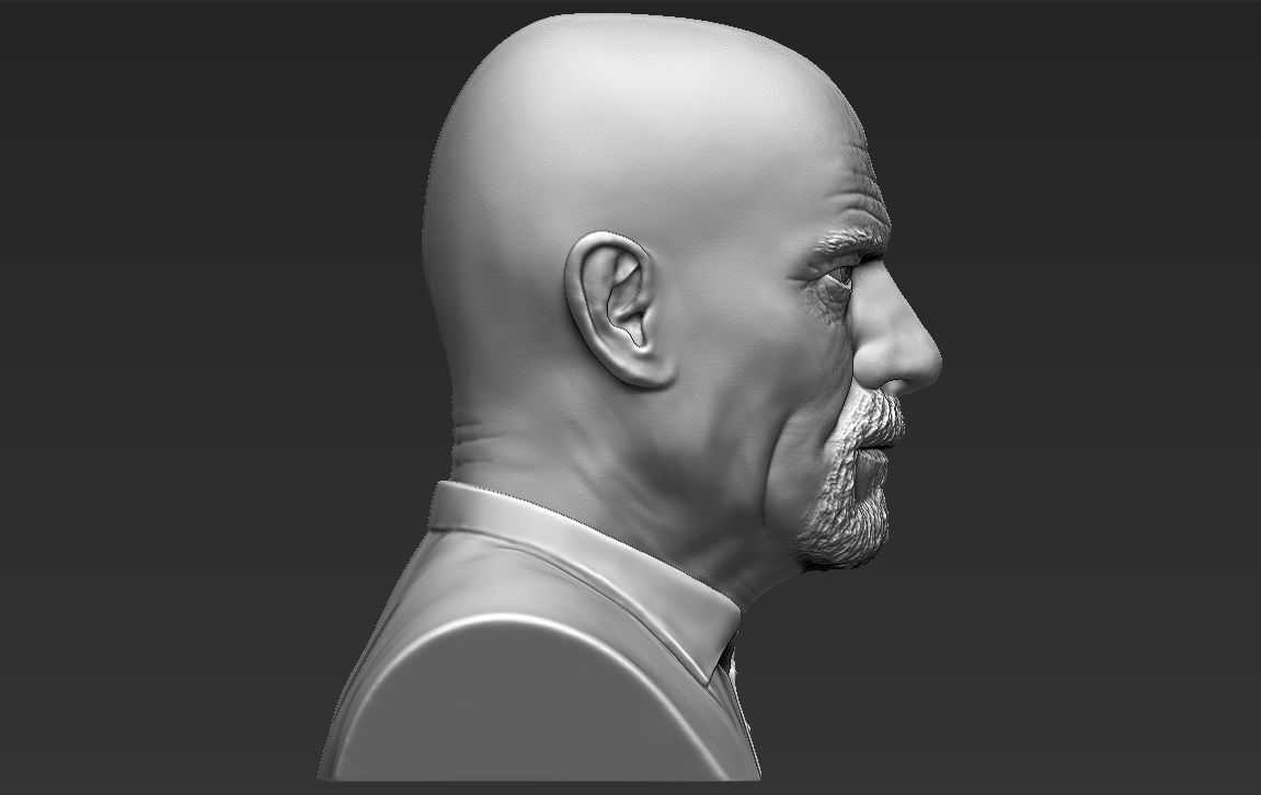 Walter White Breaking Bad bust 3D printing ready stl obj formats 3D ...