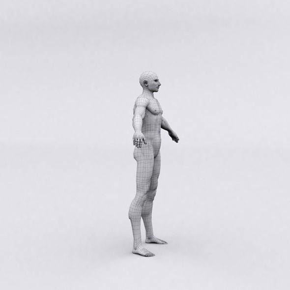 Realistic Male Body 3D Printed free VR / AR / low-poly 3D model | CGTrader