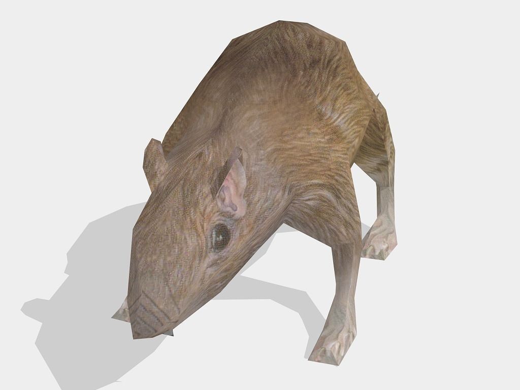 rat animal 3D Model Game ready .max .obj .fbx .ma .mb - CGTrader.com