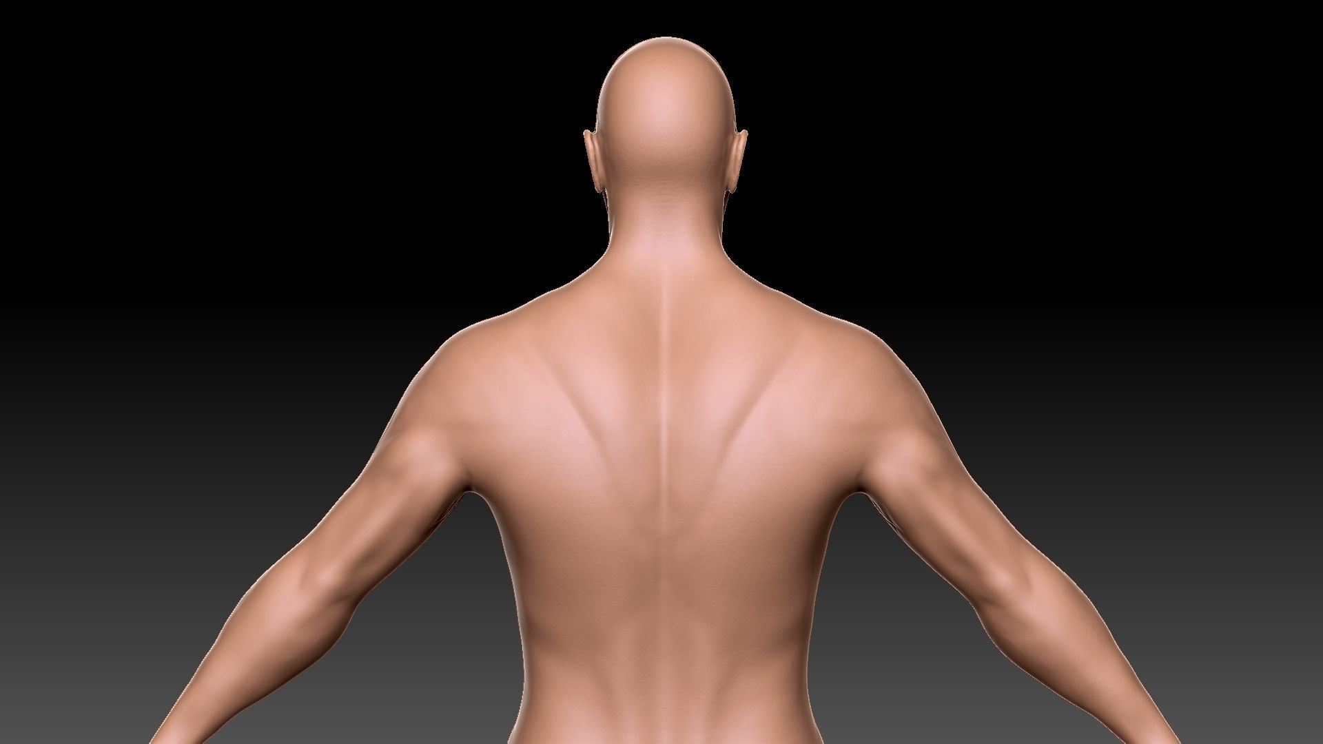 3D model Male Human Body Zbrush 3D model lowpoly and highpoly VR / AR ...