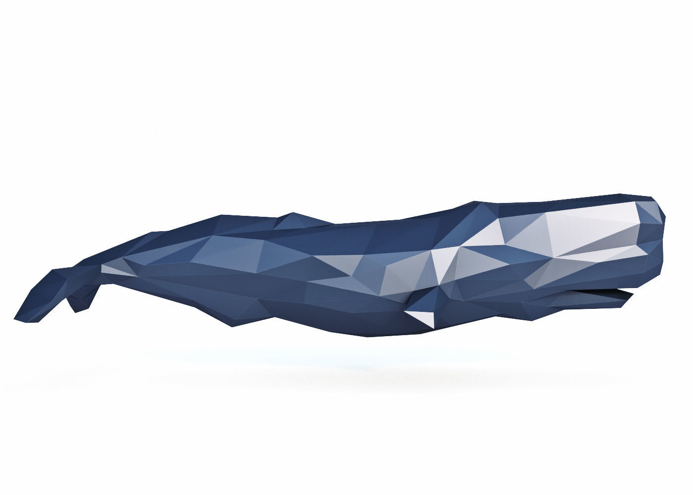 3D model Whale Low Poly VR / AR / low-poly | CGTrader