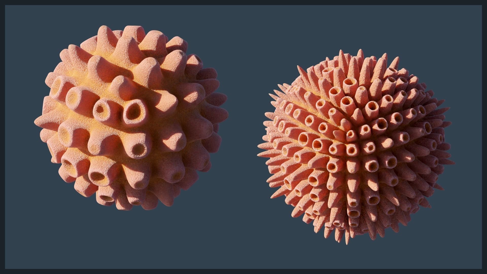 Coralizer Procedural Material Texture | CGTrader